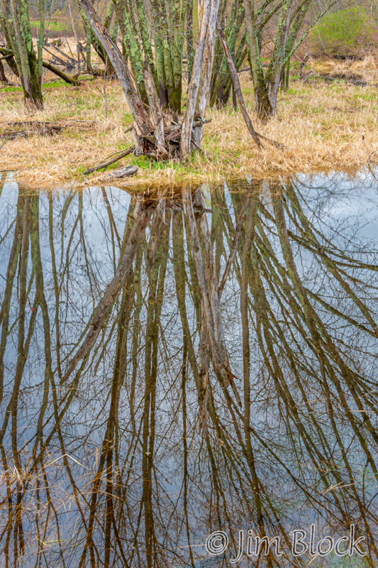 Spring Wanderings – Jim Block Photography