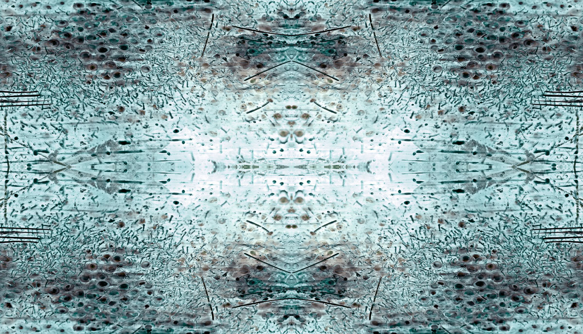 Baker Bush Wetlands - Jim Block Photography