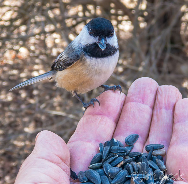 Trip to the Coast – Jim Block Photography