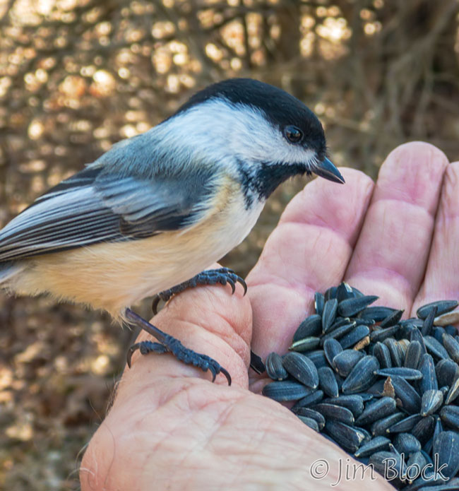 Trip to the Coast – Jim Block Photography