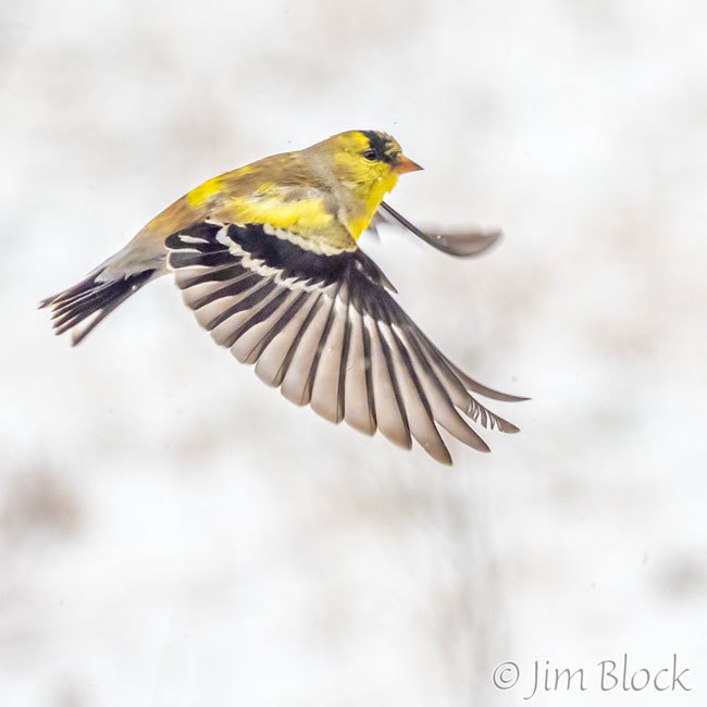 Last Two Weeks of April 2020