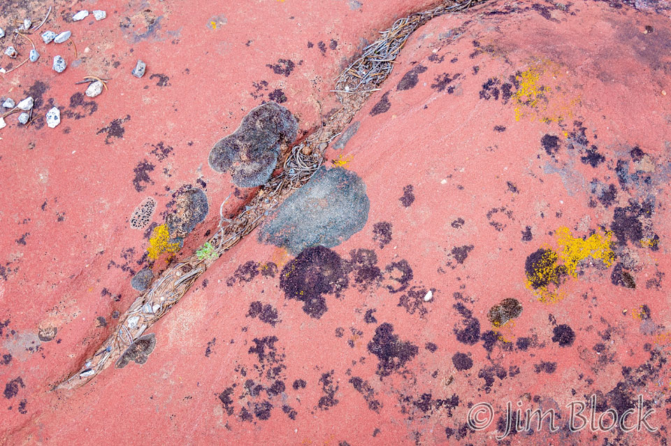 Dinosaur National Monument