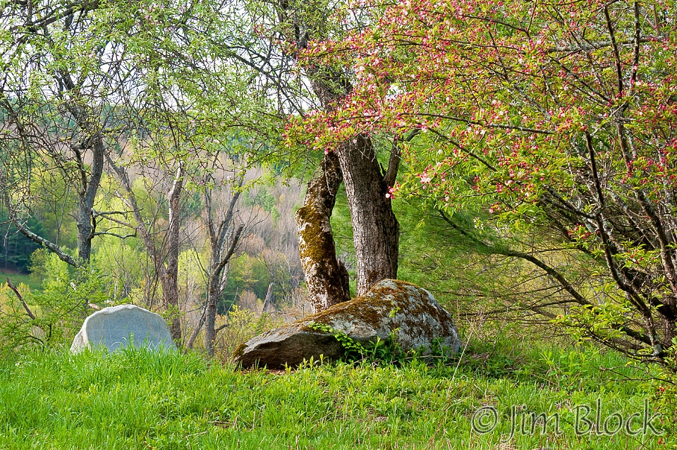 King Bird Sanctuary