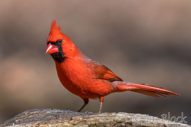 Trip to the Coast – Jim Block Photography