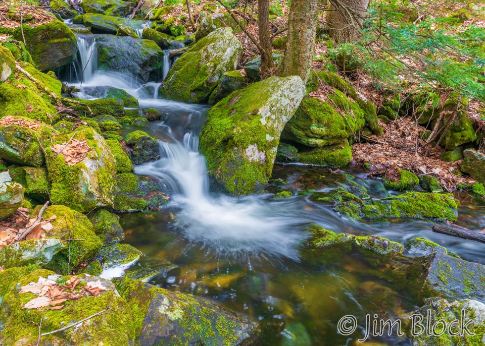 Smith Pond Shaker Forest – Jim Block Photography