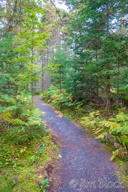 Moose Bog September 2019 - Jim Block Photography